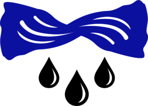 Waterless Dye - An Eco-Friendly Coloring Process for Polyester Fabrics ...